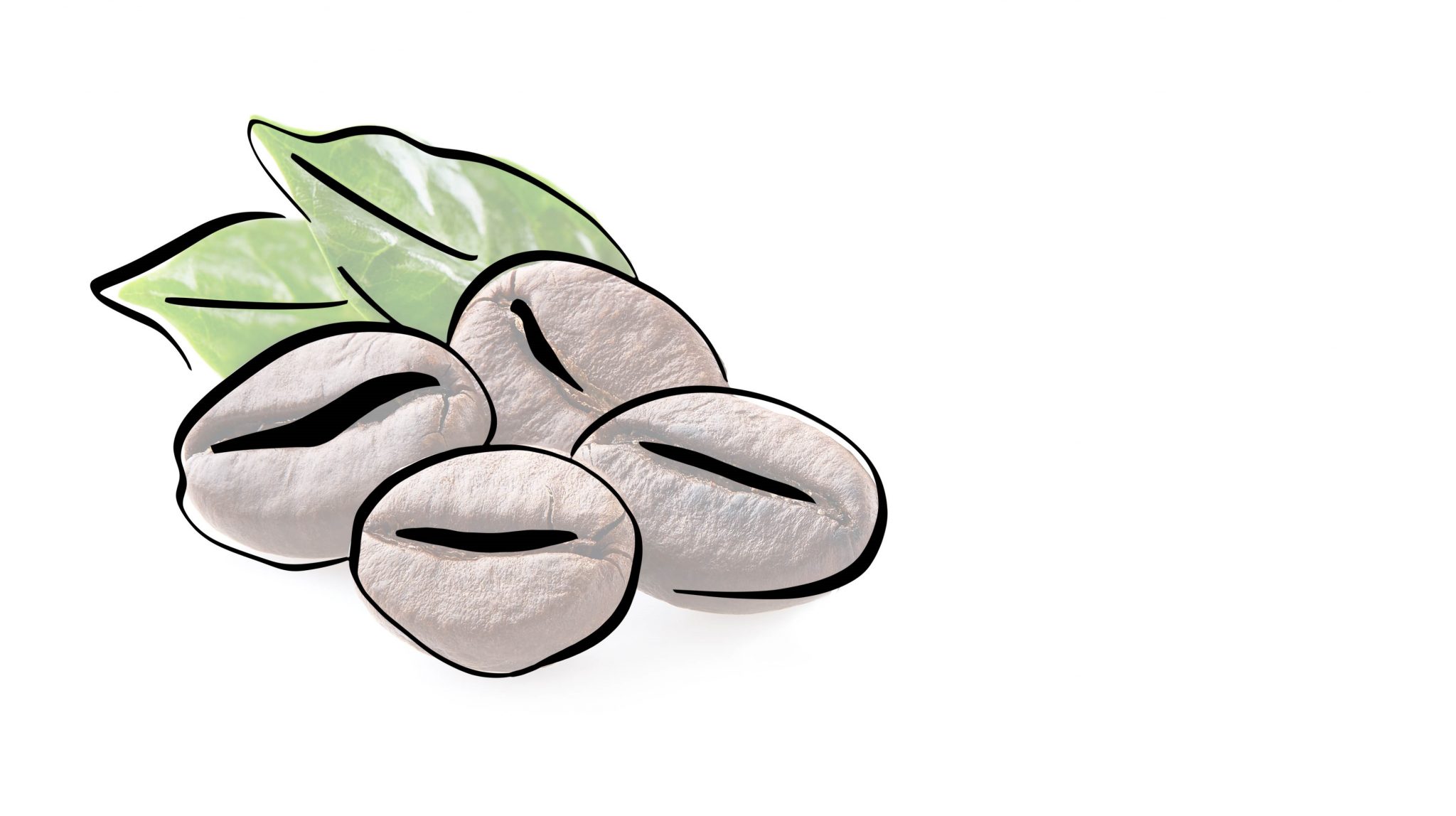 Rochas Man Intense - Rochas Official Website