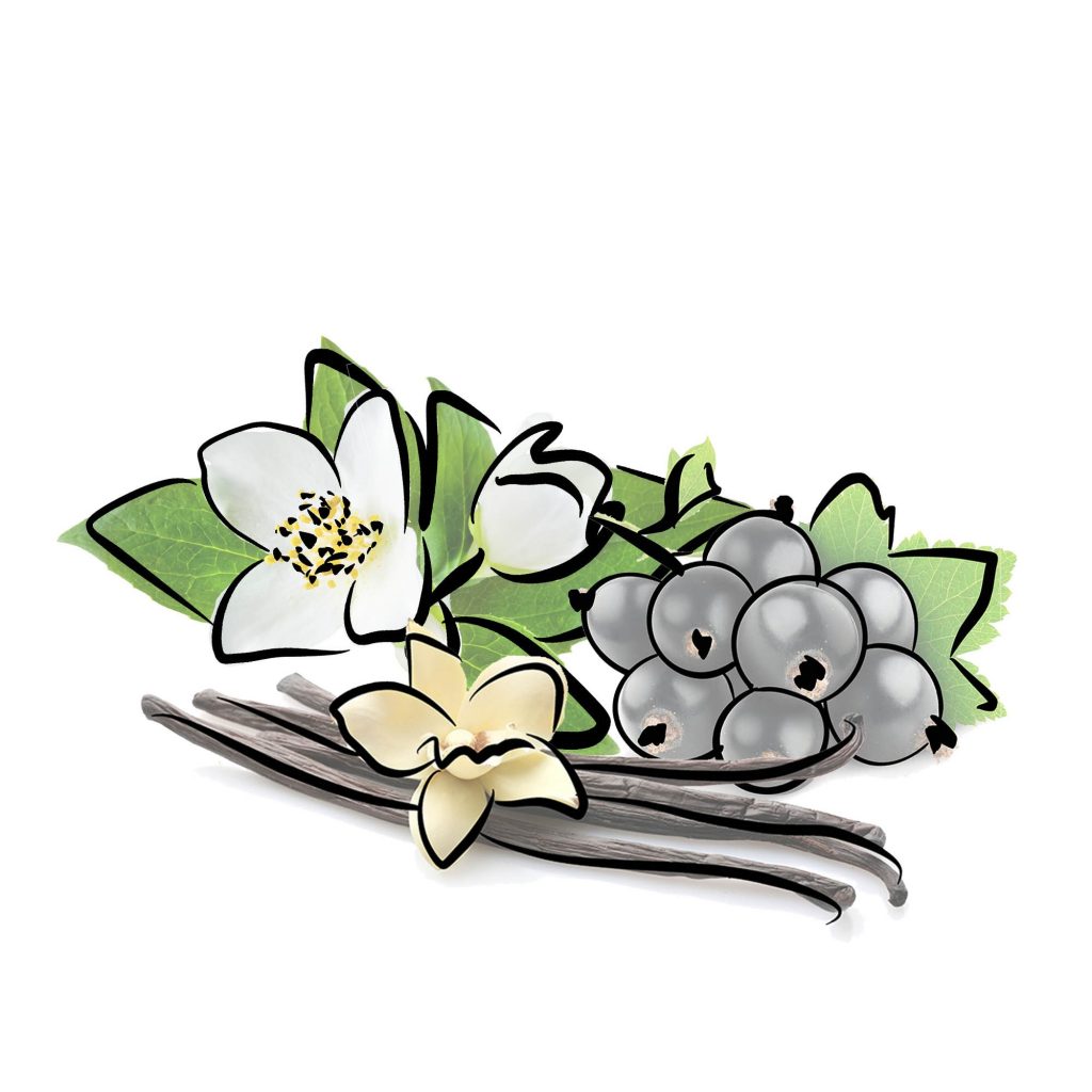 Girl Life - Rochas Sitio Oficial